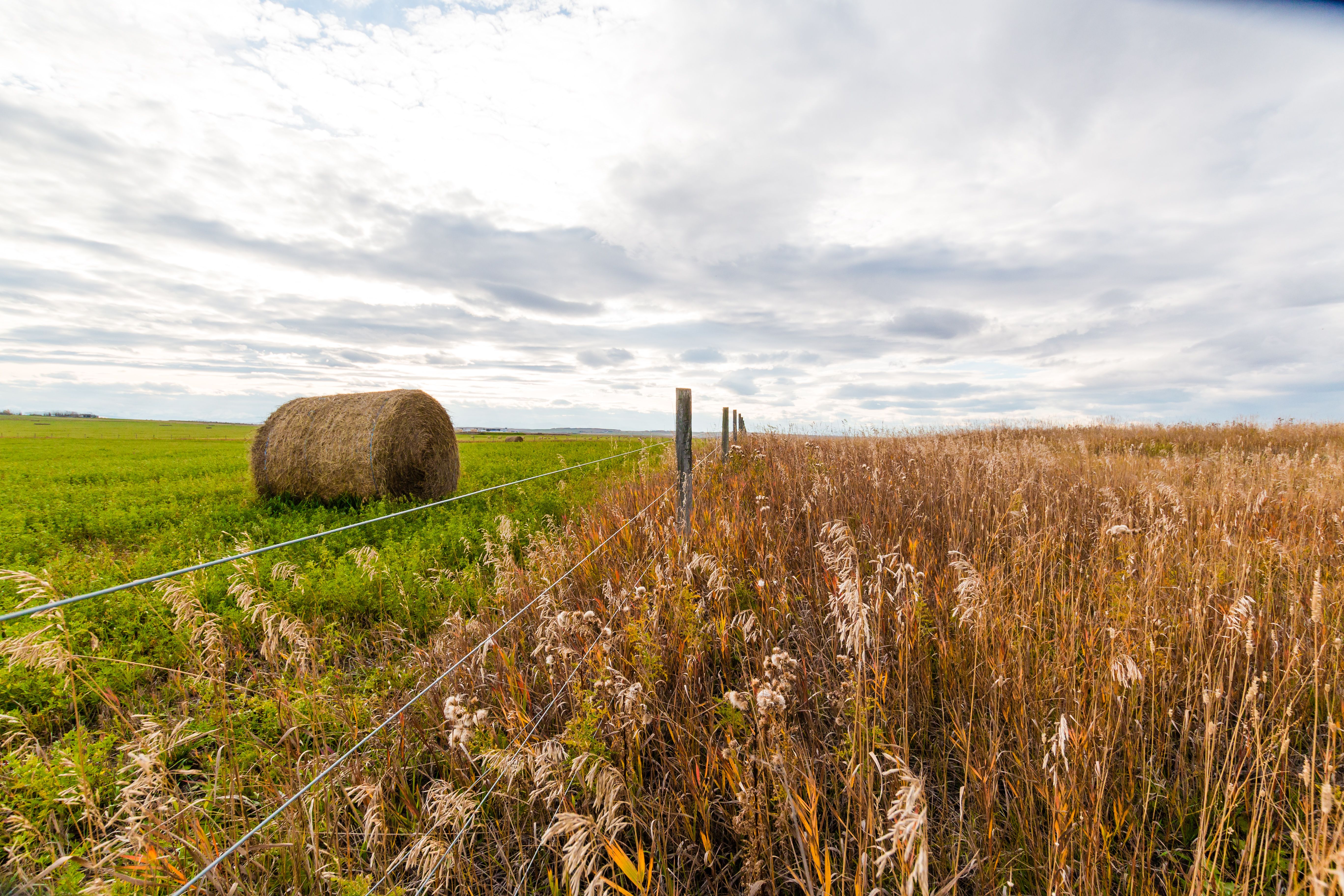 Home | Calgary Region Airshed Zone
